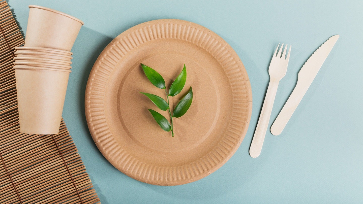 Fiberdom and Kiefel enhance fibre-based packaging with dry forming tech ...